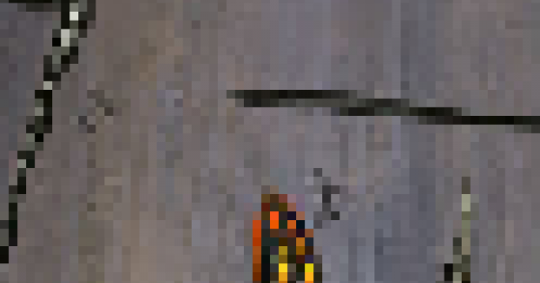 buy guild wars Destroyer Weapons Package|gwmmsale.comBuy Guild Wars 1 ...