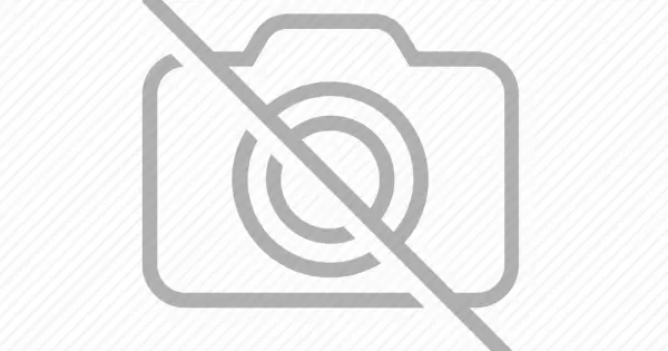 Buy Guild Wars Miniatures Pet on GWmmsale.comBuy Guild Wars 1 Gold ...